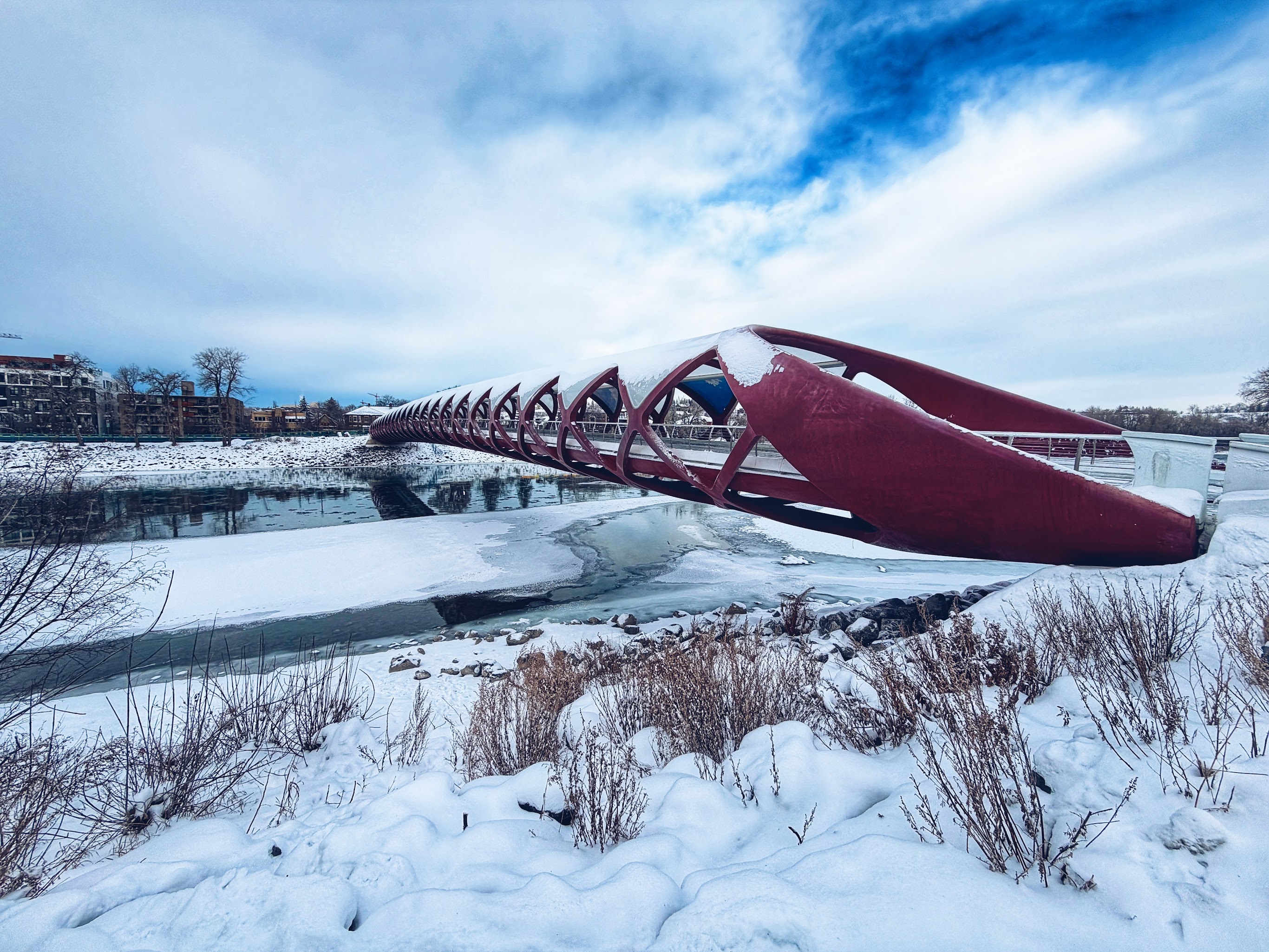 Calgary in Winter: Watching the Immigrant Life Take Hold on the ...